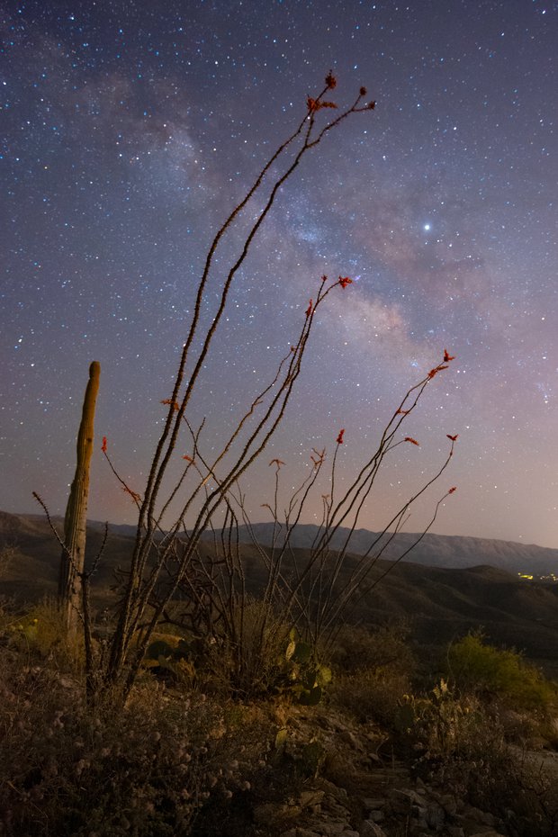 Ocotillo Milky Way Isaac Teal Astrobin 3152